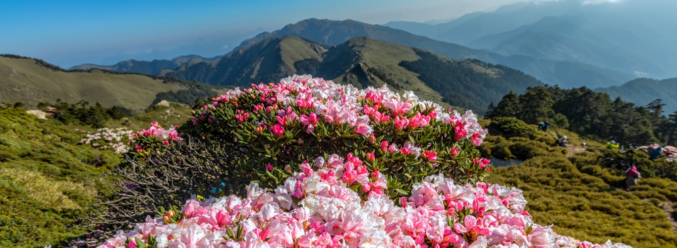 Residency Application and Household, Birth, Marriage, Divorce and Death ...