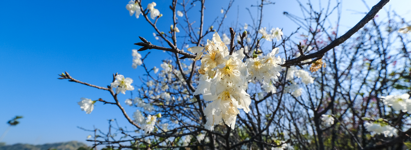 Search - Taiwan.gov.tw - Government Portal of the Republic of China ...