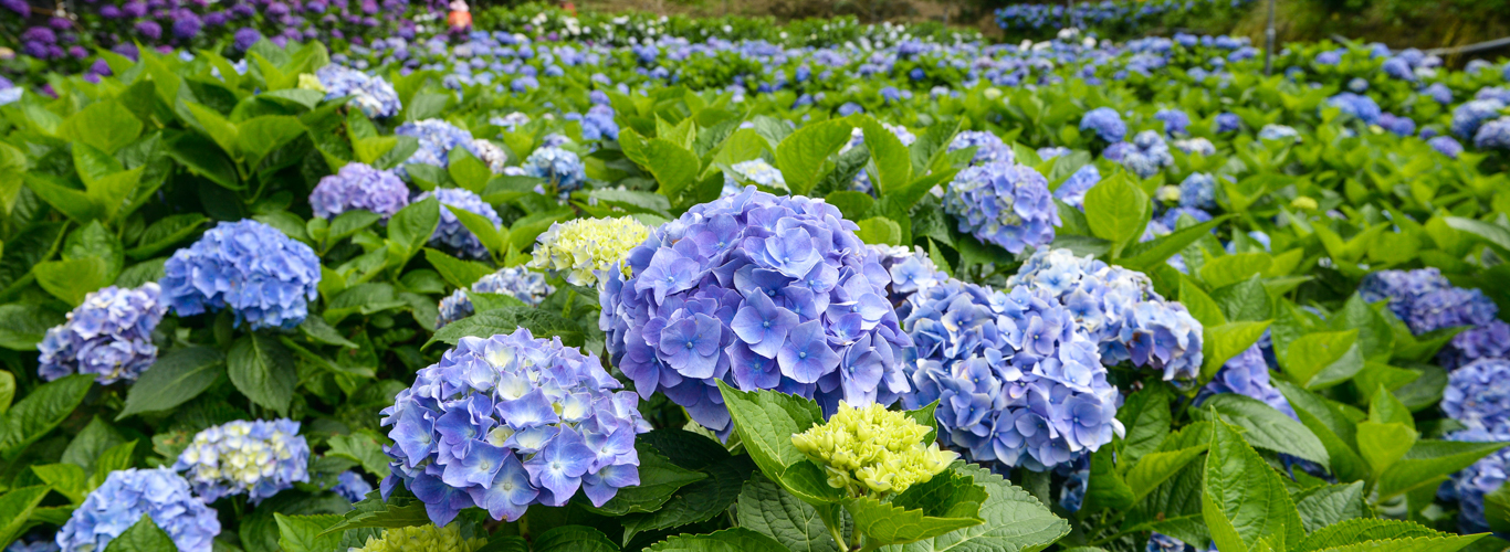 Government Agencies - Taiwan.gov.tw - Government Portal of the Republic ...