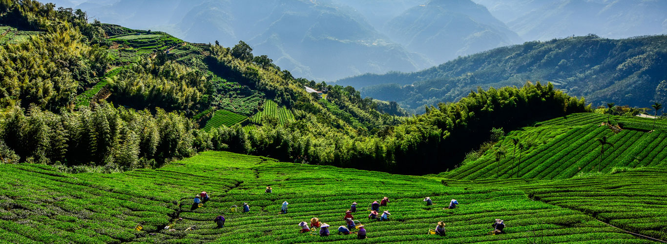 Government Agencies - Taiwan.gov.tw - Government Portal of the Republic ...