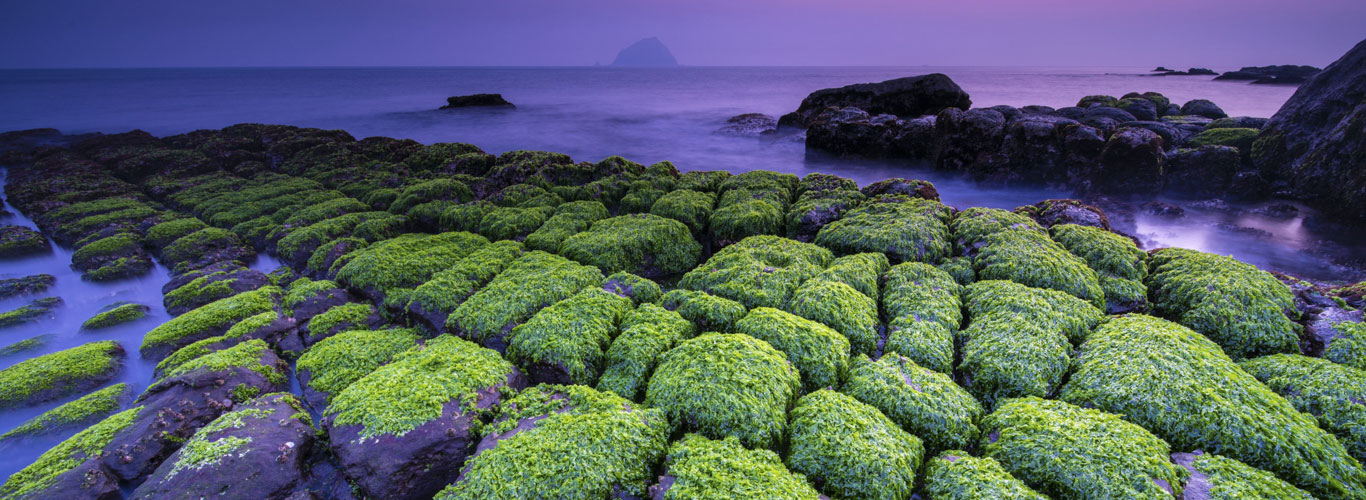 Visa, Passport and Authentication - Taiwan.gov.tw - Government Portal ...