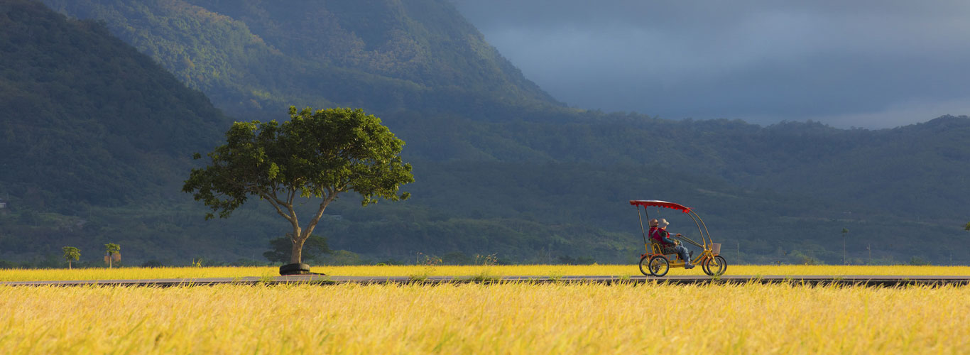 Residency Application and Household, Birth, Marriage, Divorce and Death ...